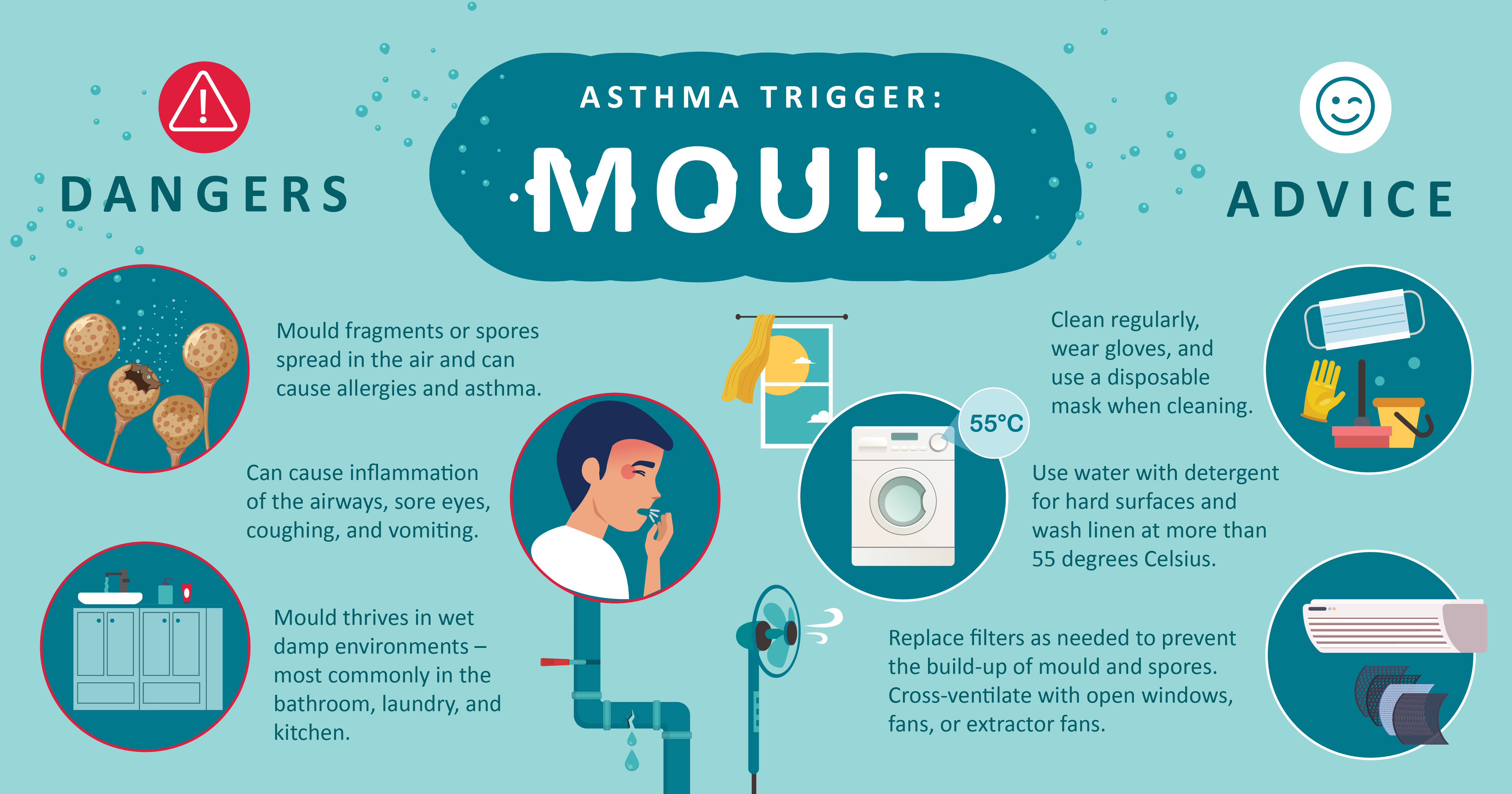 Asthma trigger: Mould