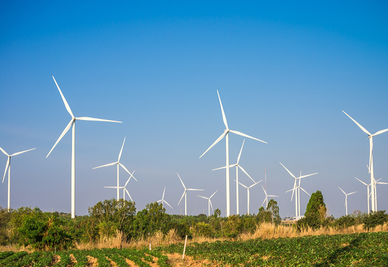 Respiratory and Environmental Epidemiology | The Woolcock Institute